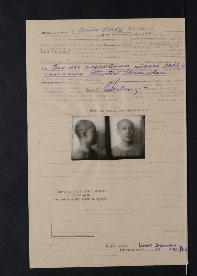 Interpretation of the First Public Release of the Handwritten ...